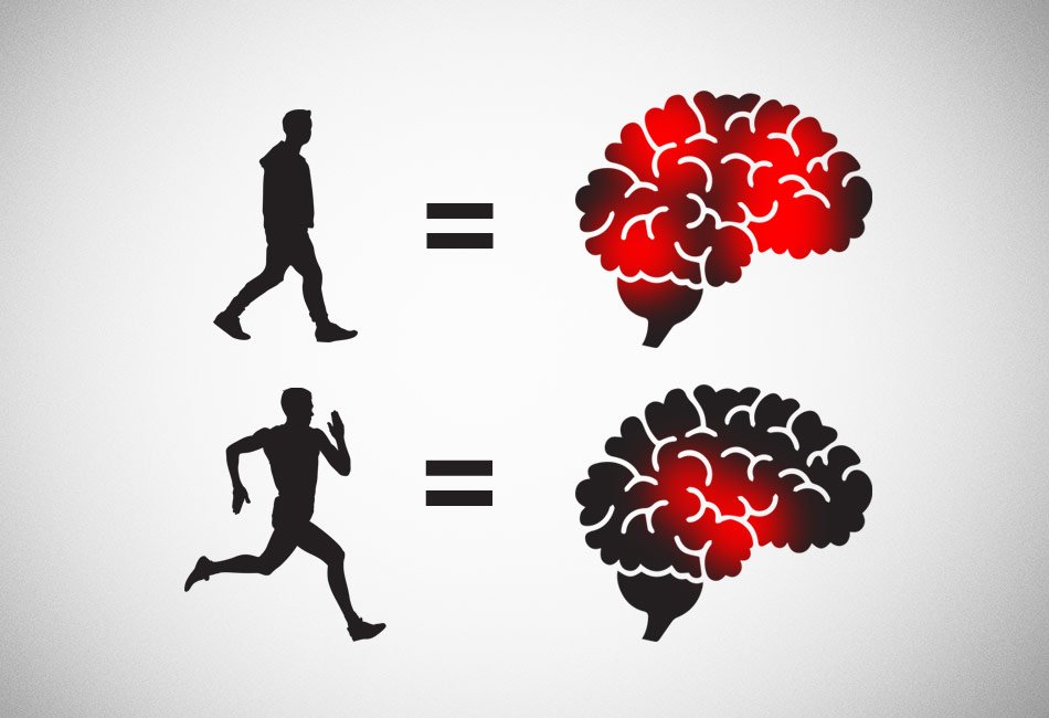 Exercise Intensity Effect on Brain Function – FitnessGuide